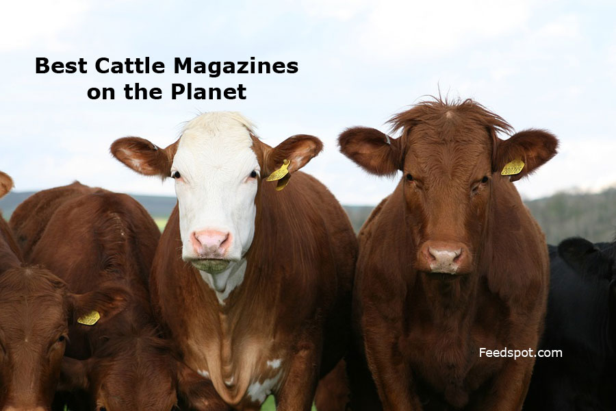 Top 15 Cattle Magazines in 2025