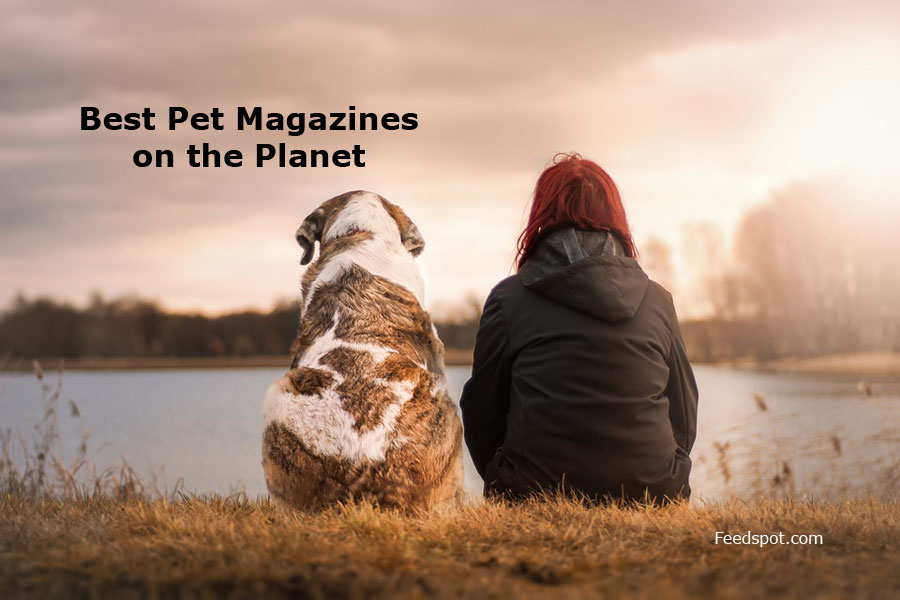 Top 50 Pet Magazines in 2025