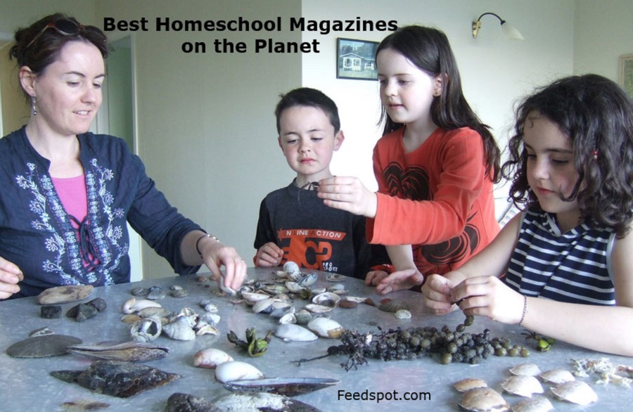 Top 10 Homeschool Magazines in 2026