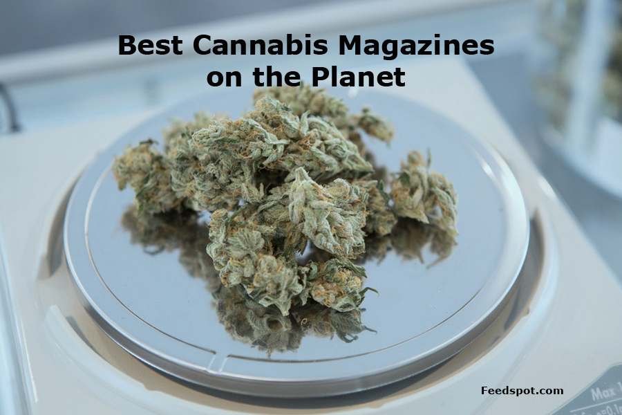 Top 25 Cannabis & CBD Magazines in 2025